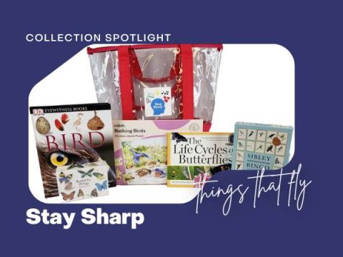 Things that Fly: Stay Sharp Kit | Calhoun Memorial Library